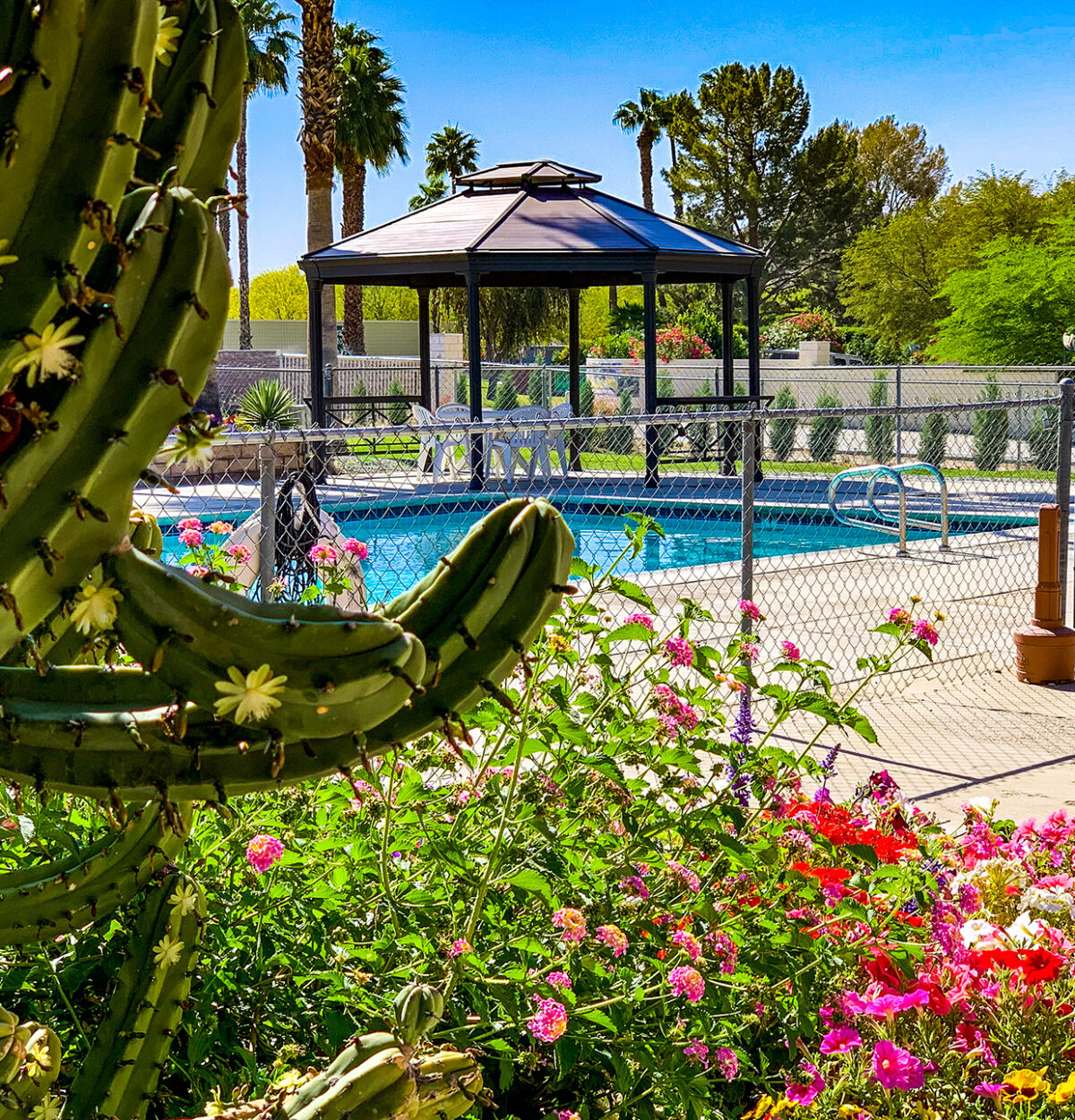 Cathedral Palms RV Resort – Let's Go Camping