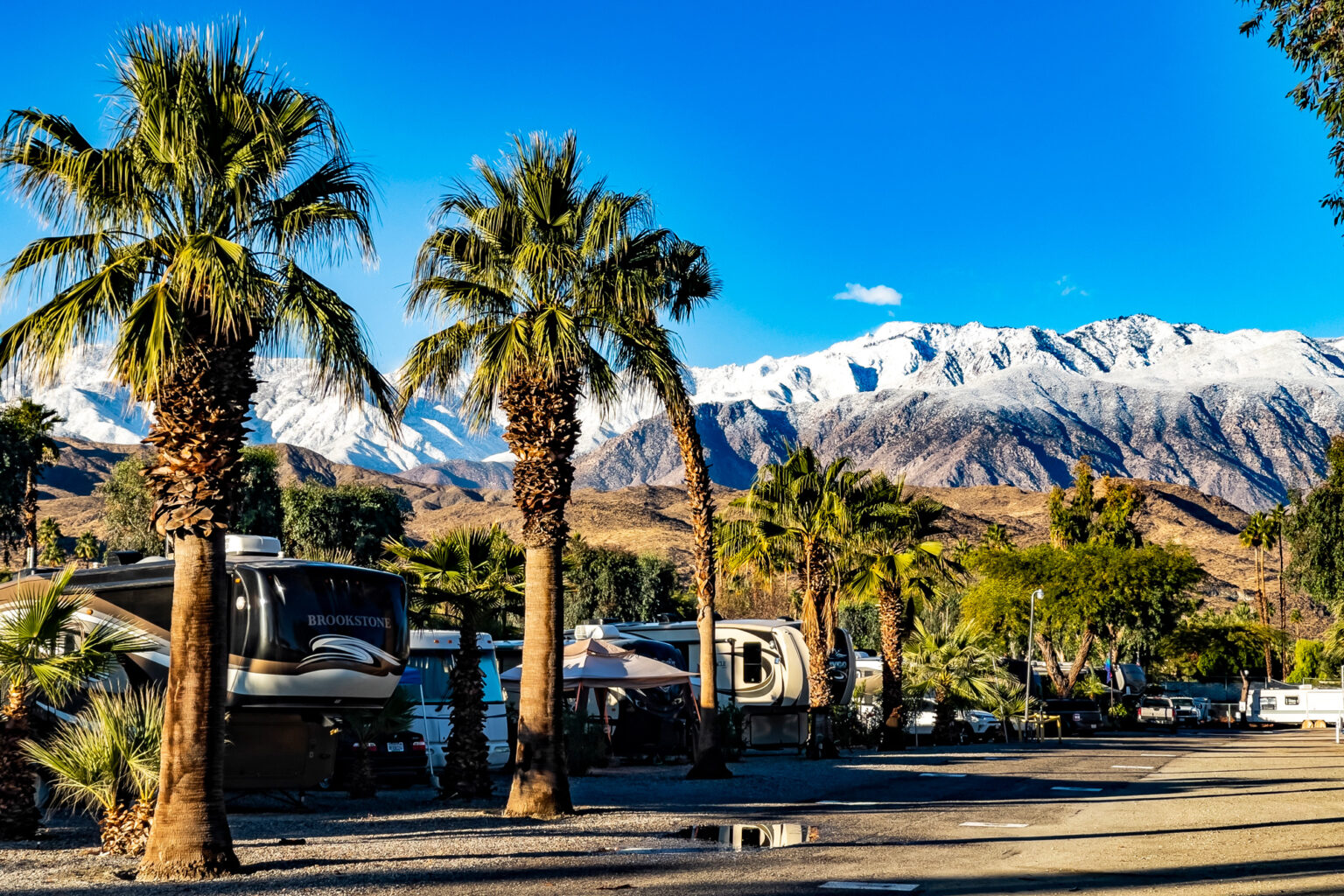 Cathedral Palms RV Resort – Let's Go Camping